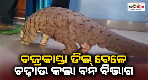 Khabar Odisha: After the death of his son the former MLA Navin Nanda ...